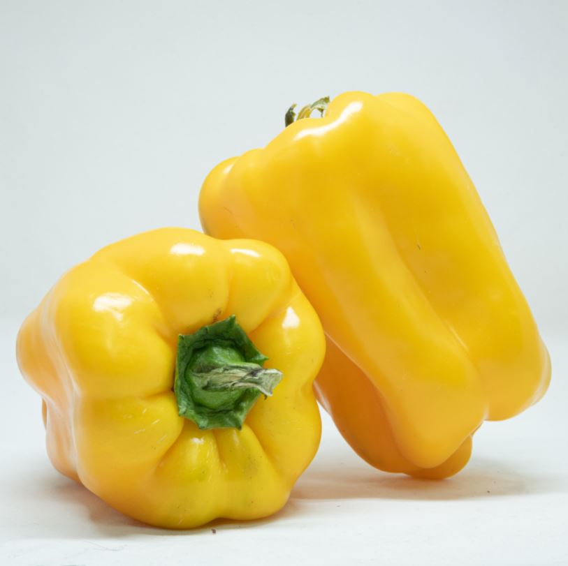 Pimentón Amarillo – BestFruit Chile